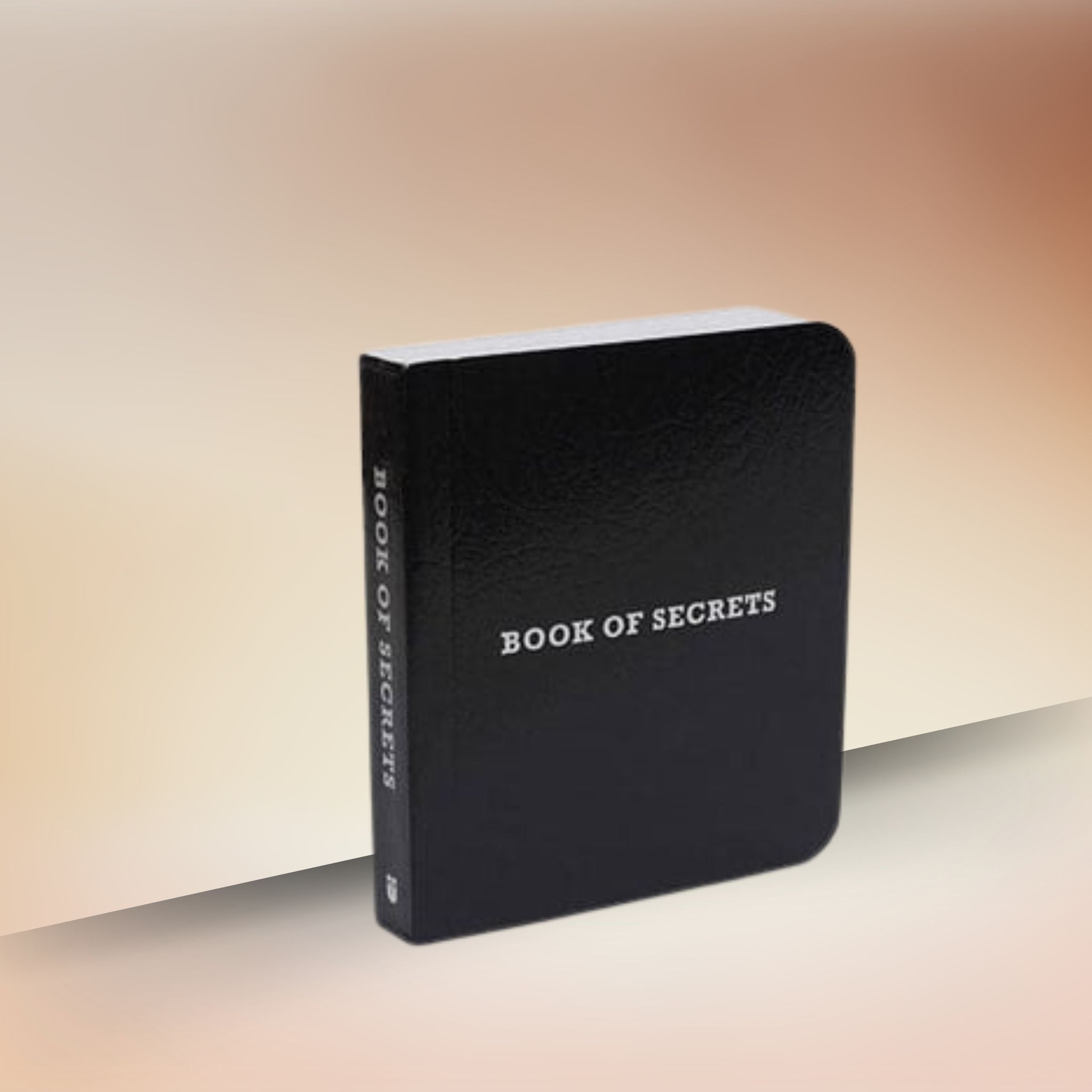 Spymaster – Page 3 – SPYSCAPE